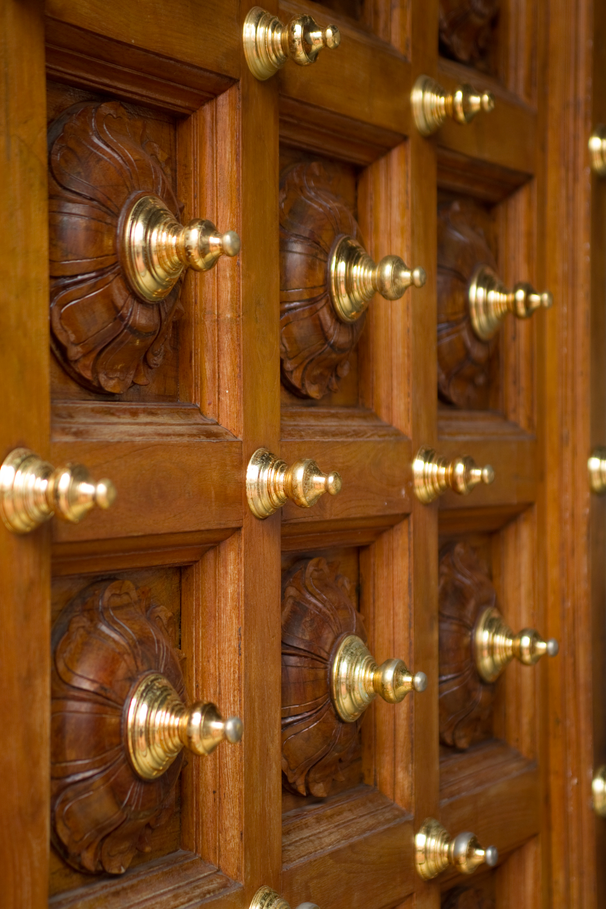 Ornate-Hindu-Temple-Door-(1) – Chris Hill Wildlife Photography